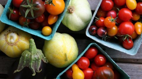 OUR Ecovillage - Sustainable well-being for OUR worldwide village