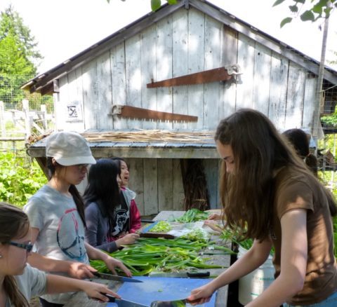 OUR Ecovillage - Sustainable well-being for OUR worldwide village