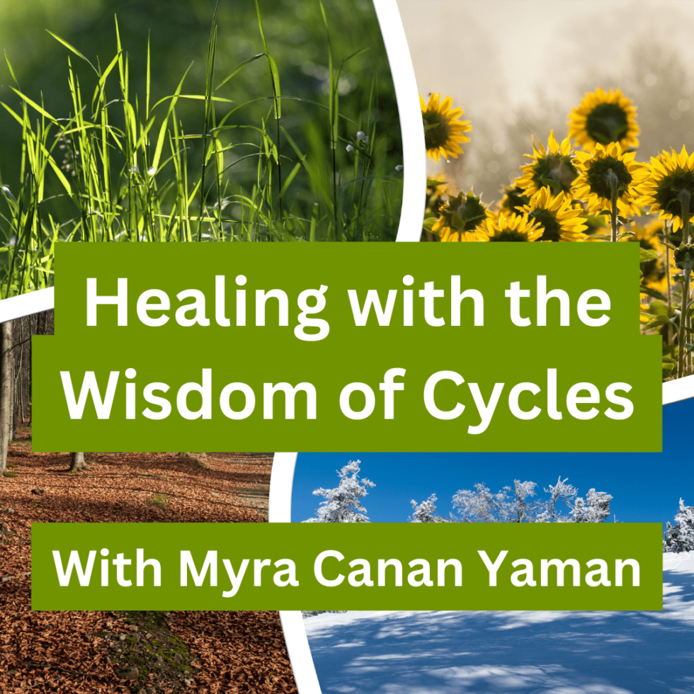 Homepage - OUR Ecovillage